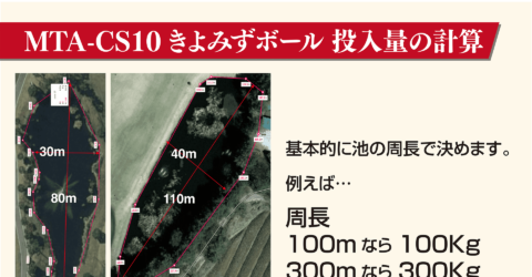 臭い大量の藻の対策、水質改善を図る超浄水セラミックの紹介｜MTA合金株式会社