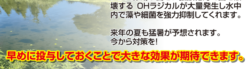 臭い大量の藻の対策、水質改善を図る超浄水セラミックの紹介｜MTA合金株式会社