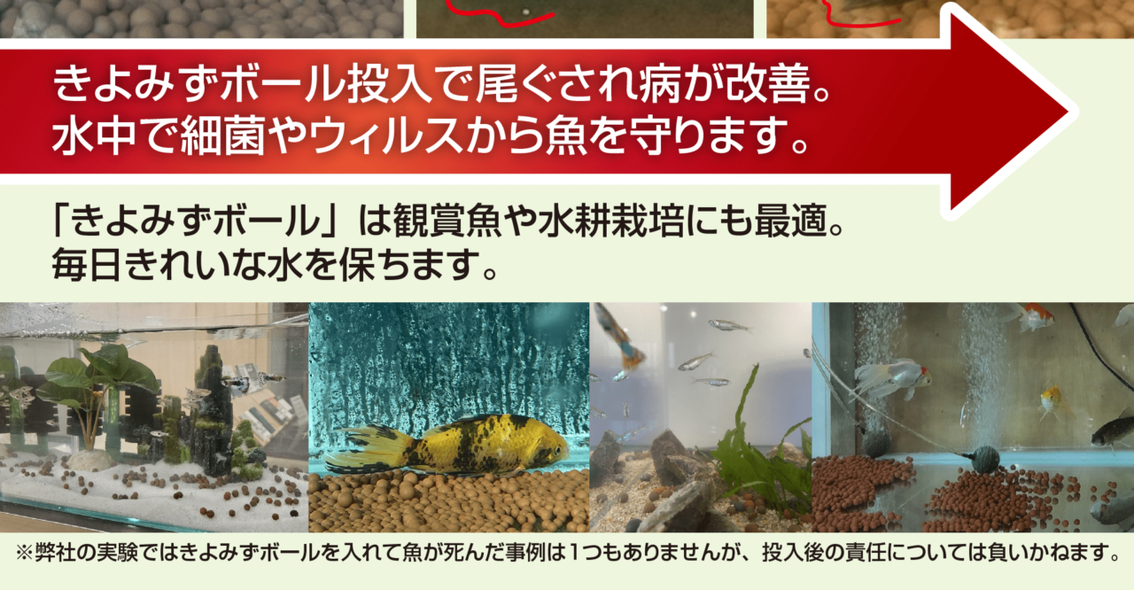 池のアオコ除去 におい対策 きよみずボール｜MTA合金株式会社