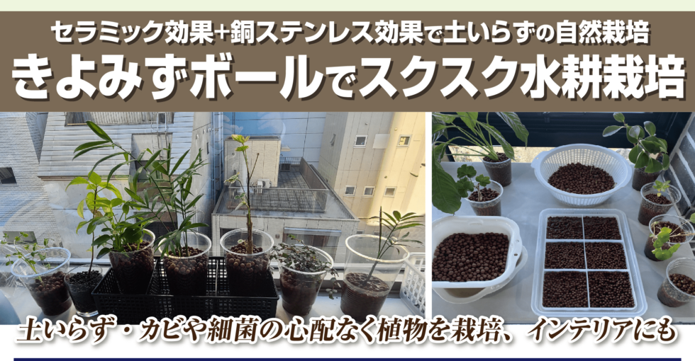 池のアオコ除去 におい対策 きよみずボール｜MTA合金株式会社