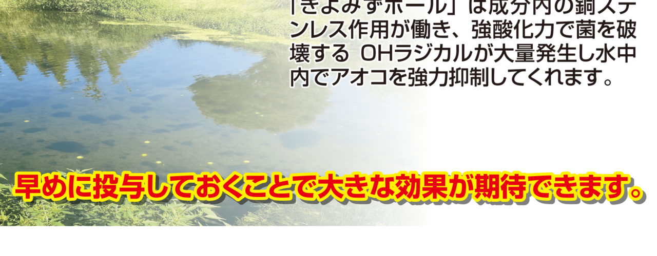 臭い大量の藻の対策、水質改善を図る超浄水セラミックの紹介｜MTA合金株式会社
