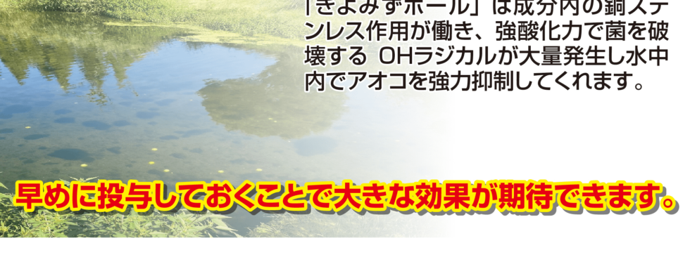 池のアオコ除去 におい対策 きよみずボール｜MTA合金株式会社